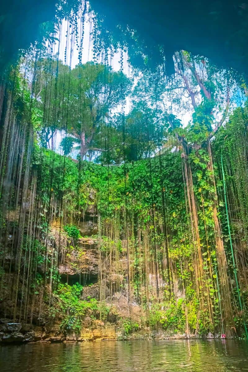 These are the 30 Best Merida Cenotes (With a Map to Easily Find Them)